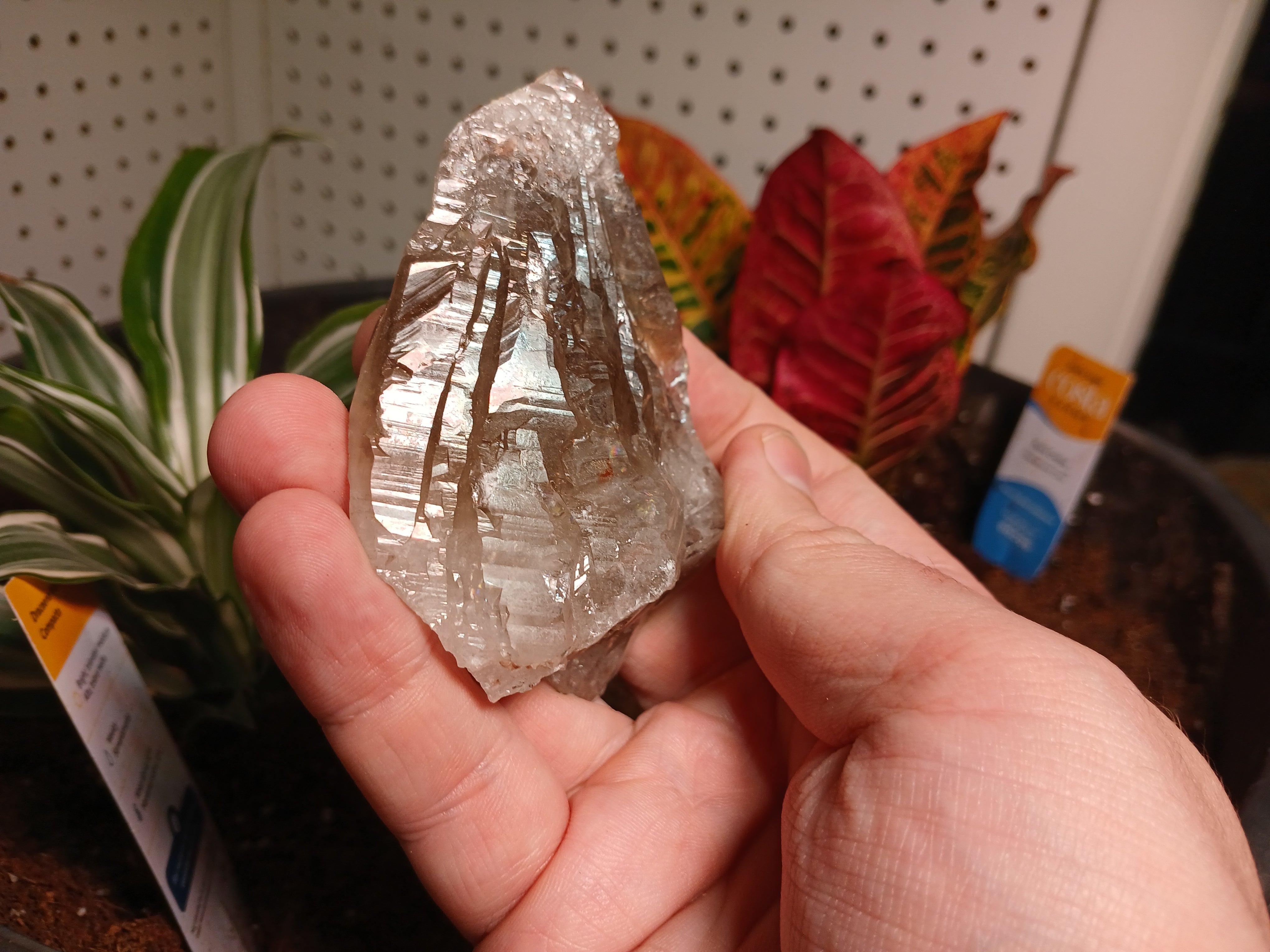 "Healed" Smoky Quartz – Mooney Fine Mineral