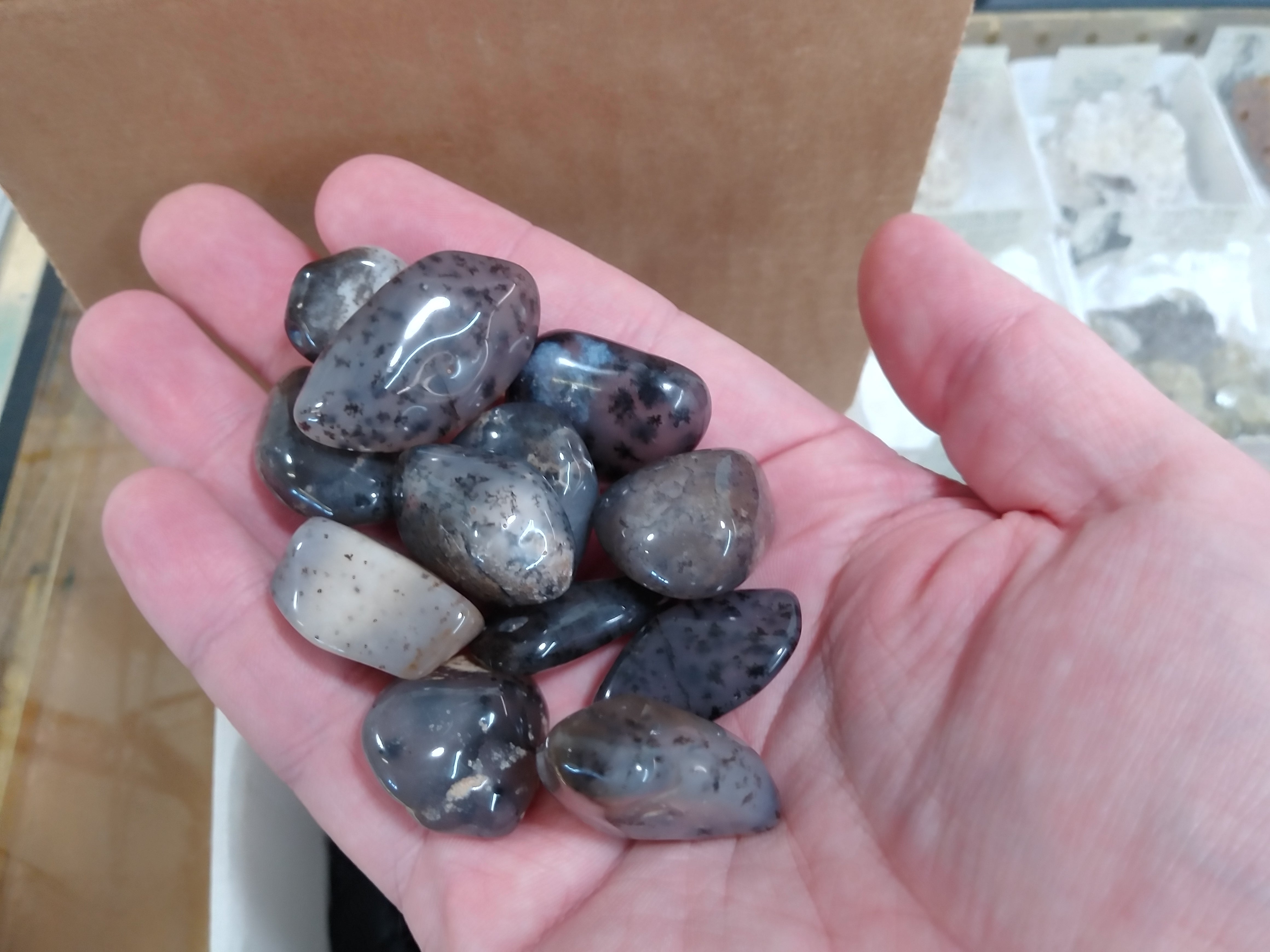 Tumbled Moss Agate – Mooney Fine Mineral